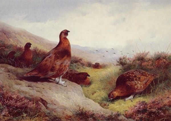 Archibald Thorburn Autumn Glory Painting - iPaintingsforsale.com