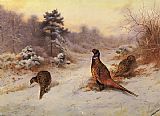 Archibald Thorburn Pheasants Through the Oak Wood Painting ...