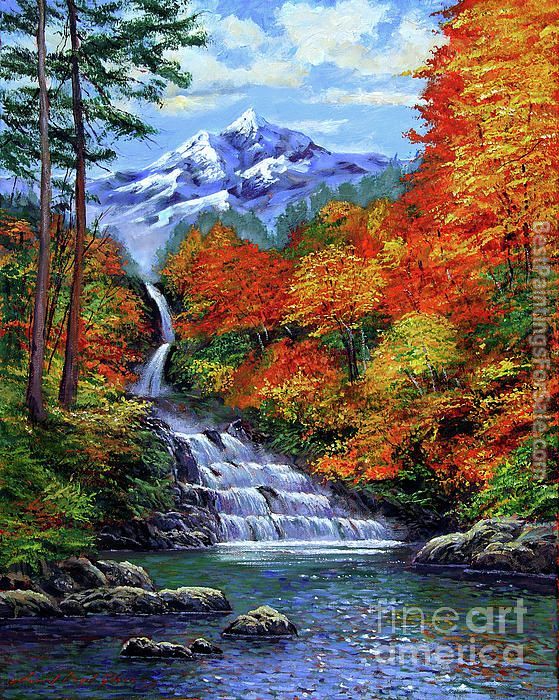 David Lloyd Glover Deep Falls in Autumn Painting - iPaintingsforsale.com