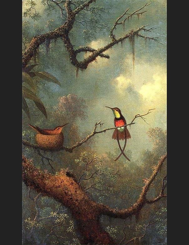 Martin Johnson Heade Hummingbirds 1870 Painting - iPaintingsforsale.com