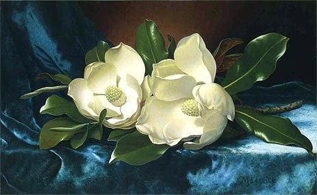 Martin Johnson Heade Magnolias on a Blue Velvet Cloth Painting ...
