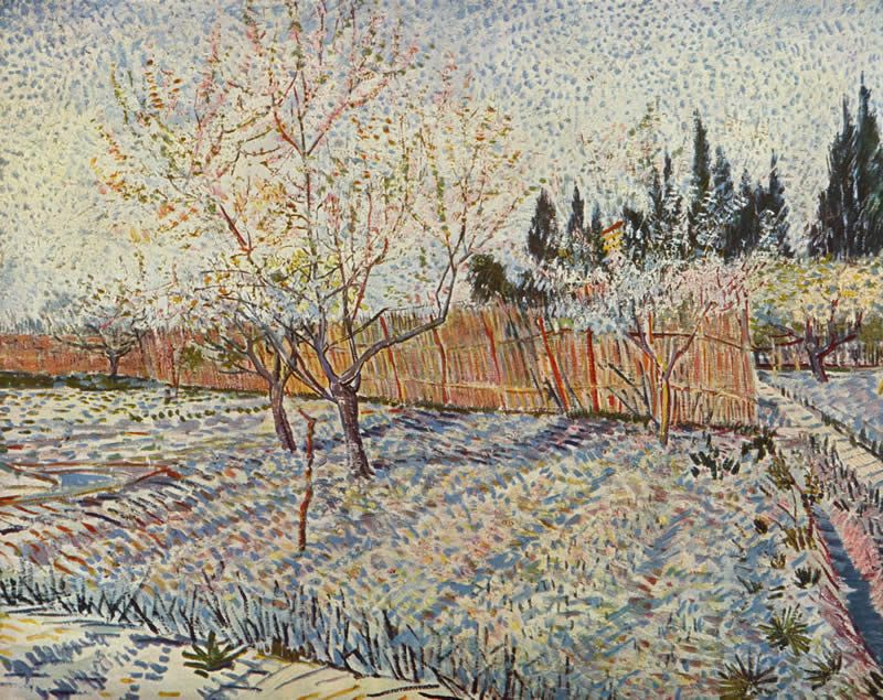 Vincent van Gogh field on winter Painting - iPaintingsforsale.com