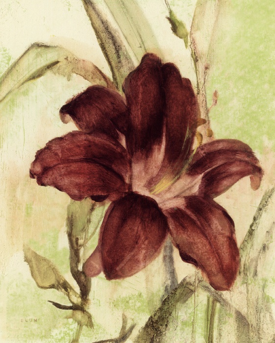 Cheri Blum Burgundy Day Lily Painting 50% off - iPaintingsforsale.com